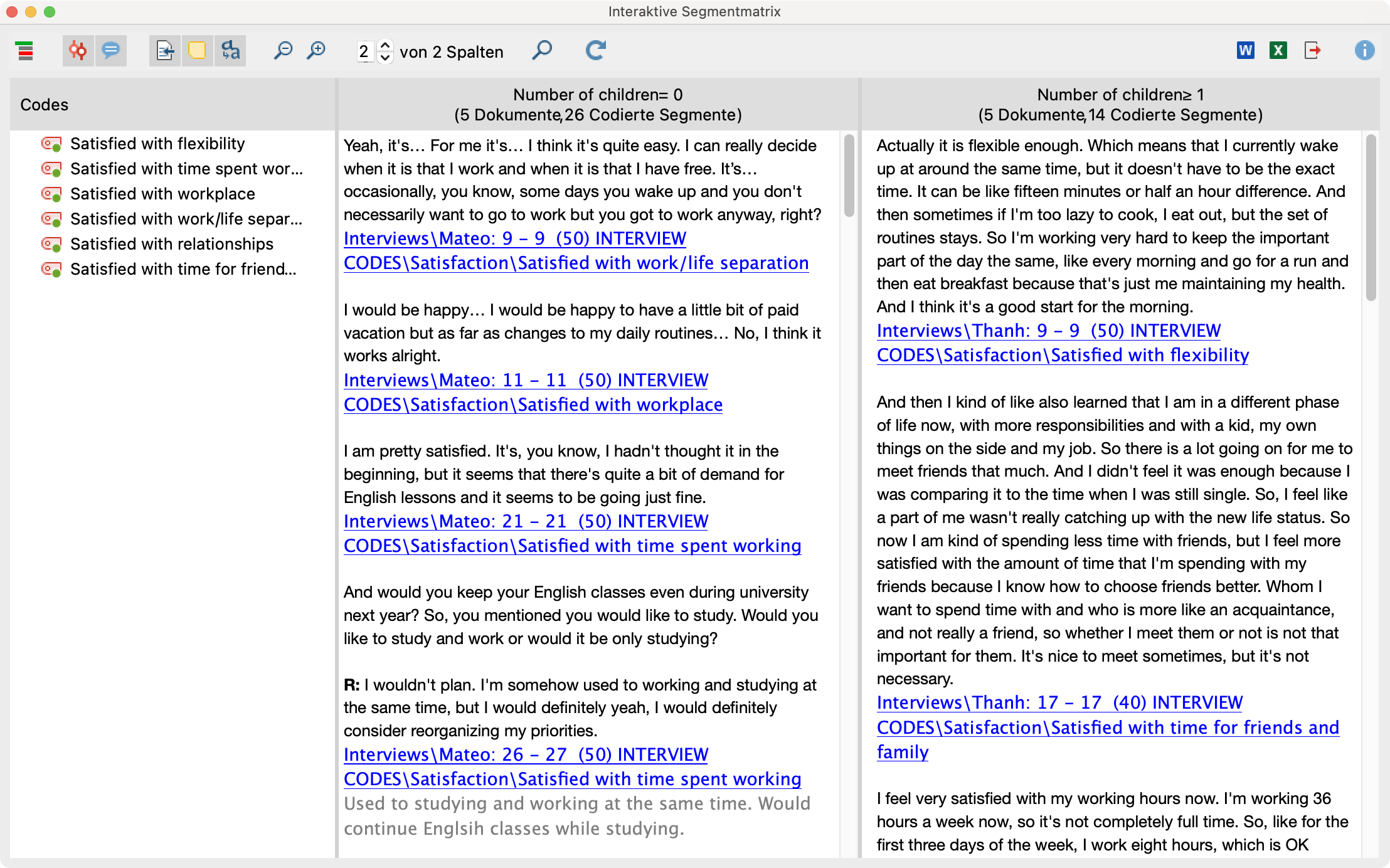 Interaktive Segmentmatrix - MAXQDA - MAXQDA