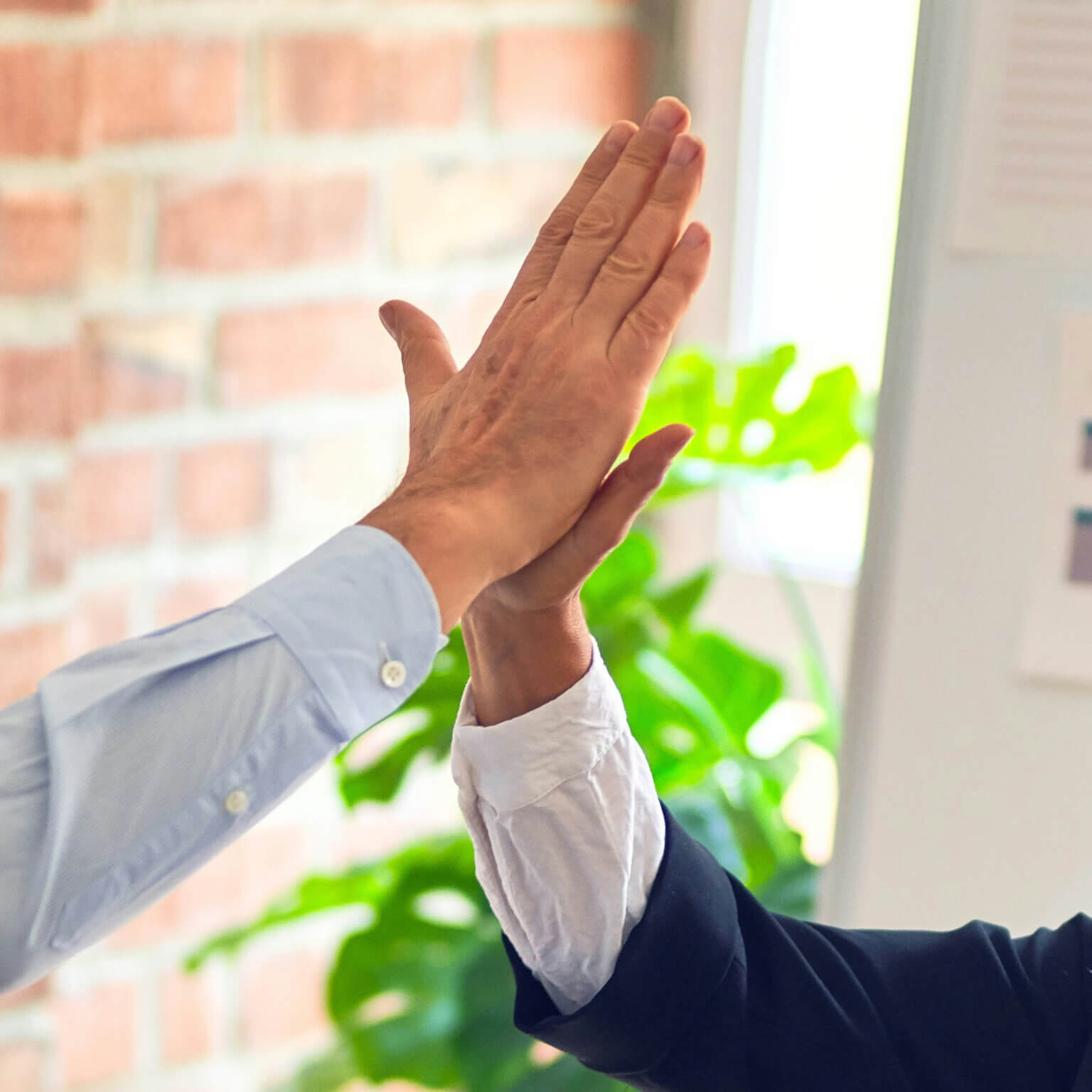 Features - MAXQDA Tailwind