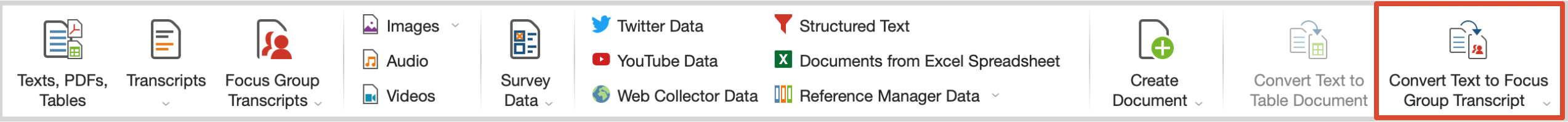 MAXQDA 2022 Online Manual: Focus Group Transcripts