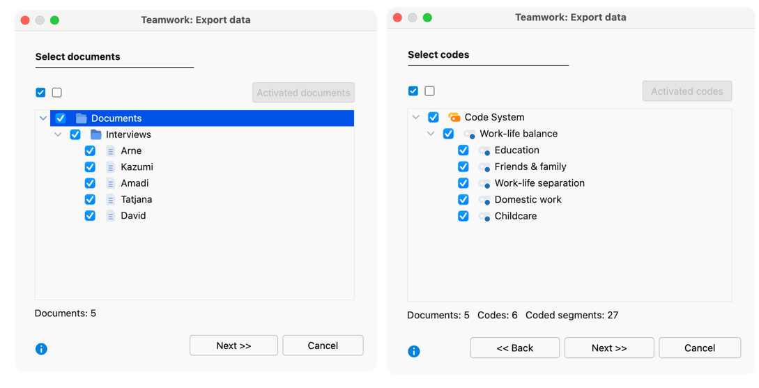 Copy Codings Memos Variables Etc Into Another Project Maxqda