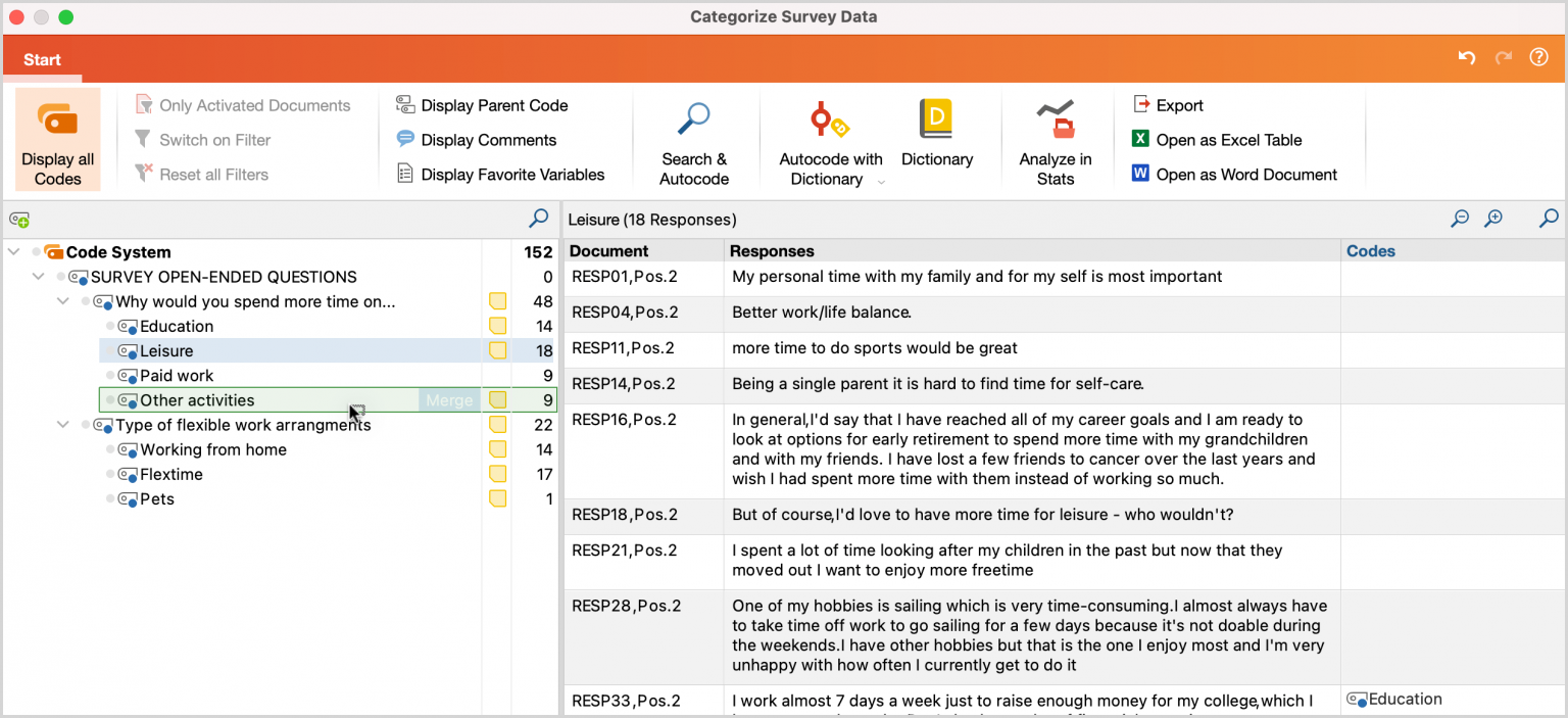 Questionnaire Analysis - MAXQDA