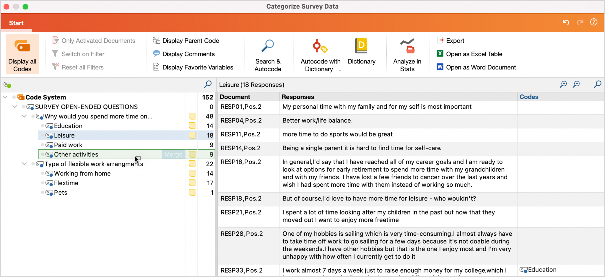 Questionnaire Analysis - MAXQDA