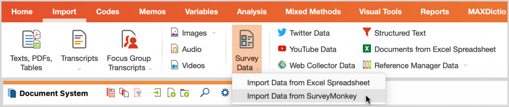 Questionnaire Analysis - MAXQDA