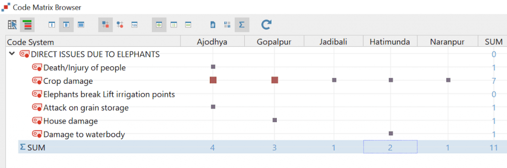 Human-Elephant Interaction Research: MAXQDA Focus Group Analysis