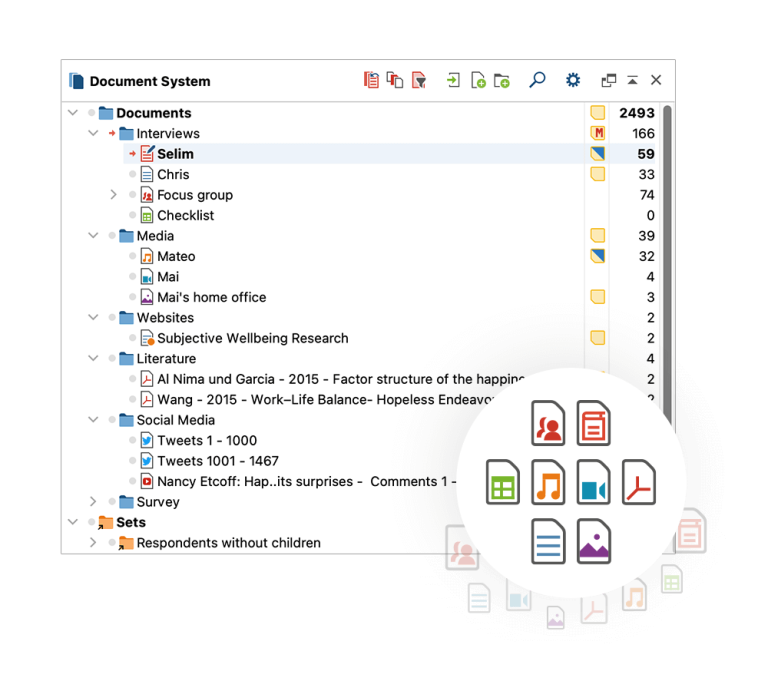CAQDAS Software MAXQDA