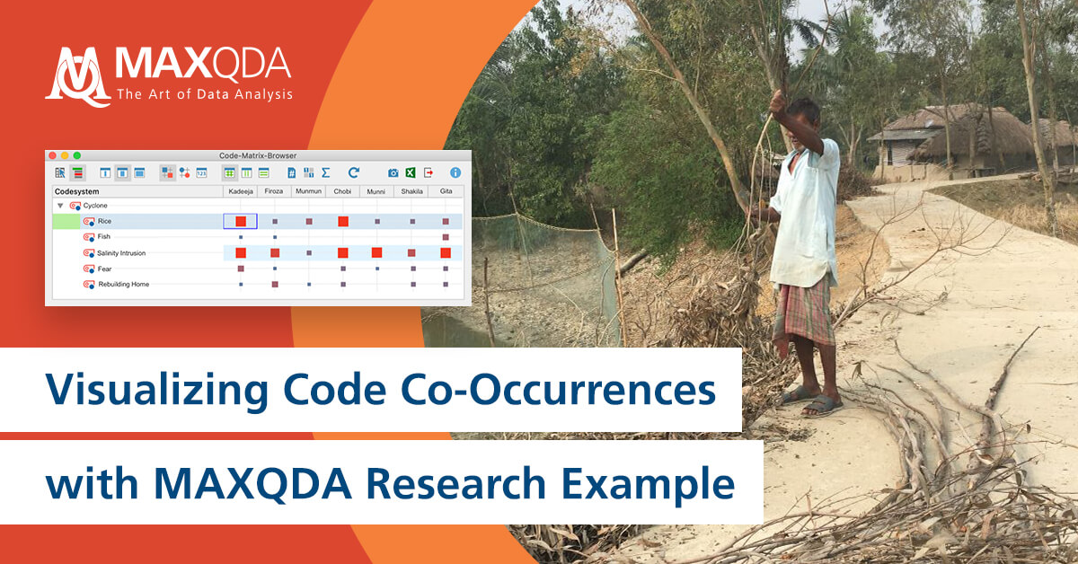 Visualizing Code Co-Occurrences with MAXQDA Research Example